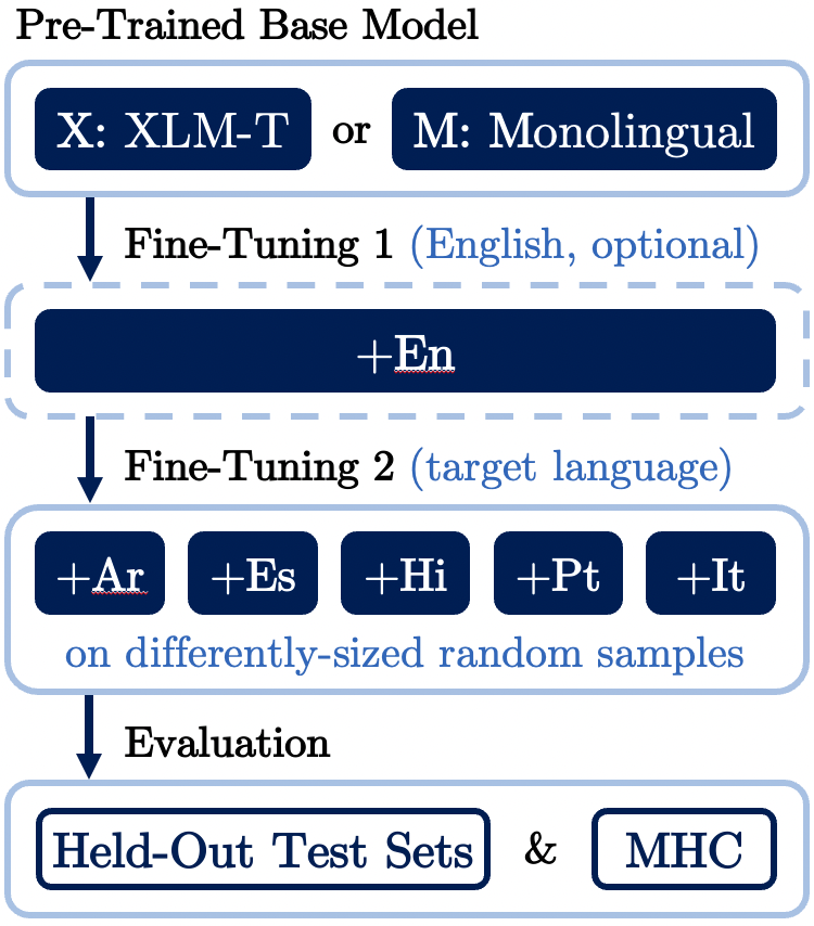 Data Efficient Strategies For Expanding Hate Speech Detection Into Under Resourced Languages